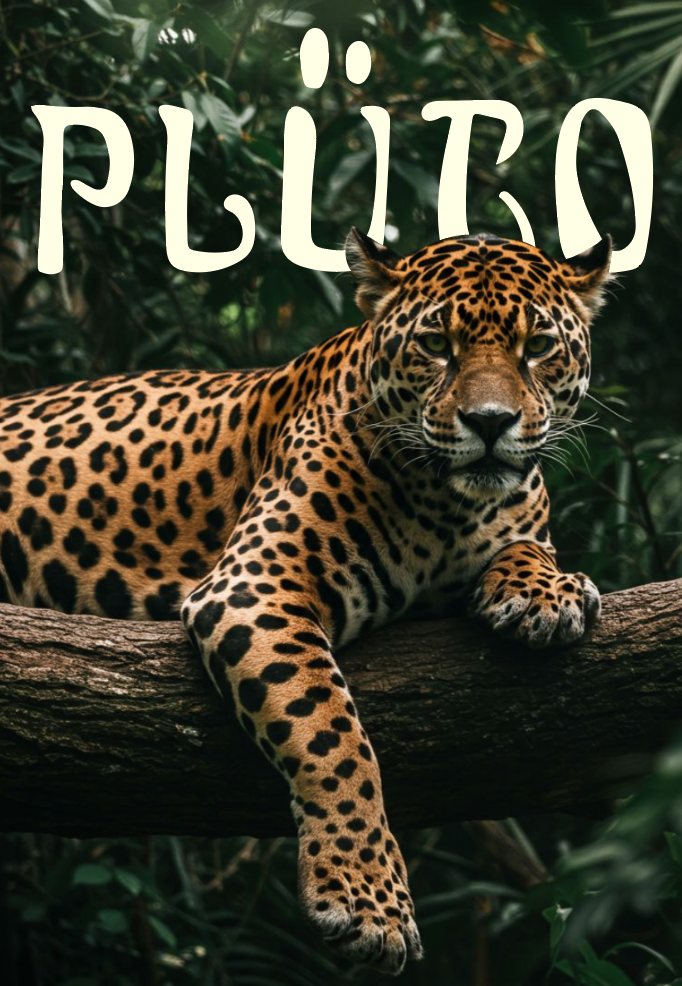 LEOPARD SUMMER – Biig Plüto
